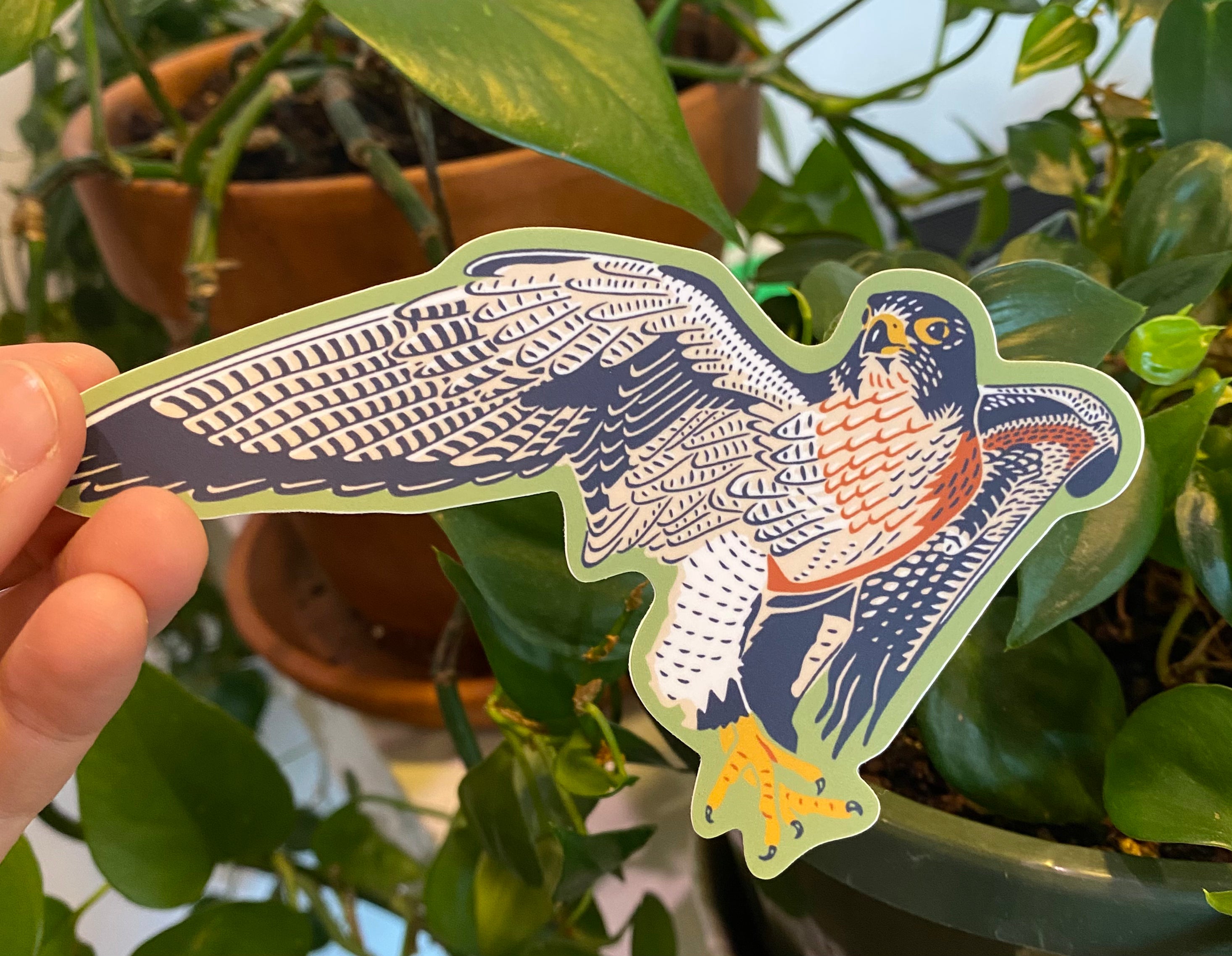 Falcon Sticker - Caroline Clark Design – Long Lost Studio by Caroline Clark