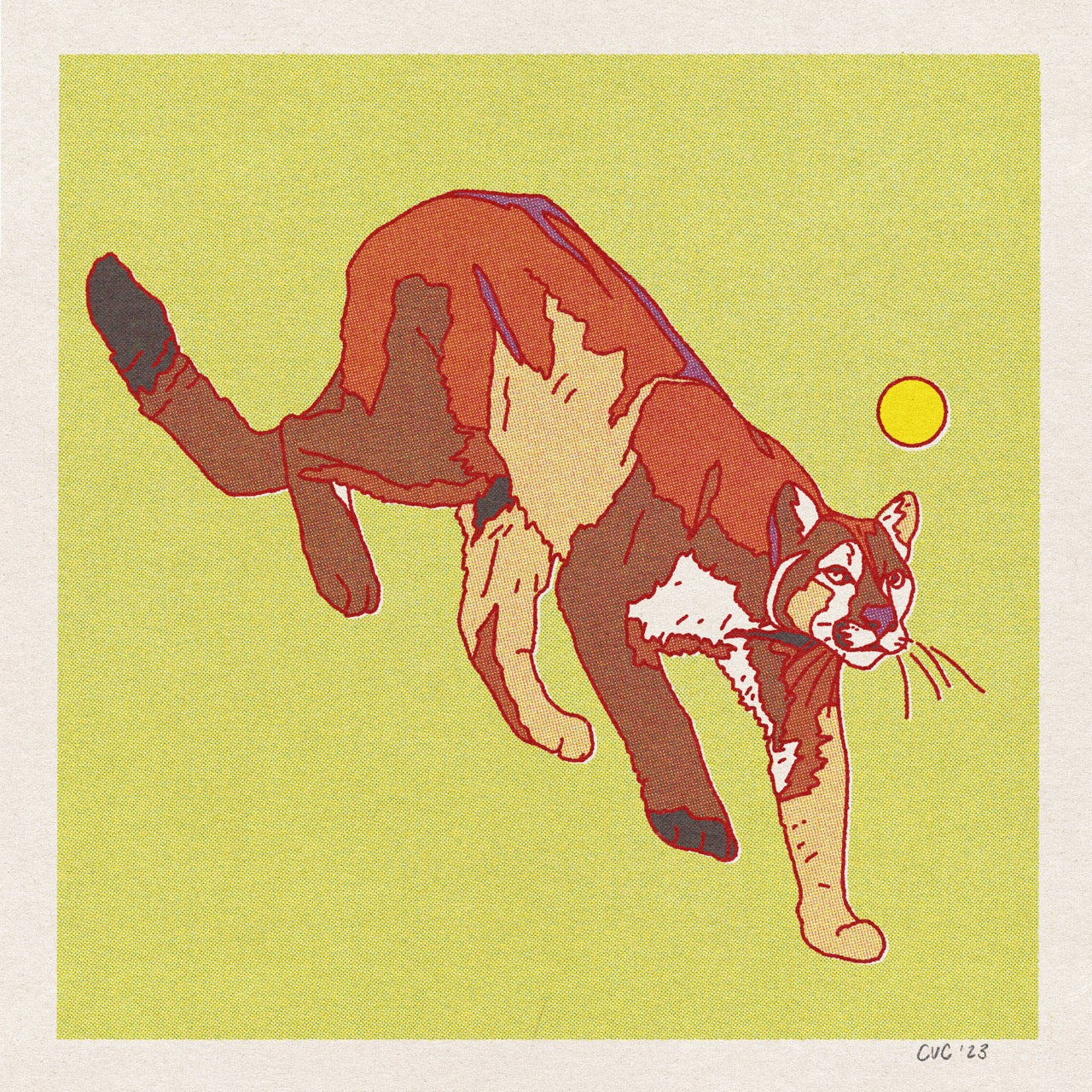 Mountain Lion Art Print - Caroline Clark Design – Long Lost Studio by ...