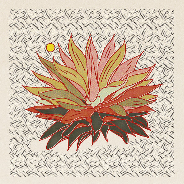 Rainbow Aloe Art Print - Caroline Clark Design – Long Lost Studio by ...